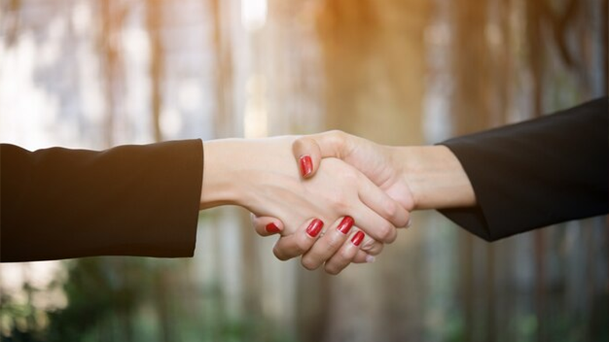 El arte de pedir disculpas - Blog de Educadores Cristianos